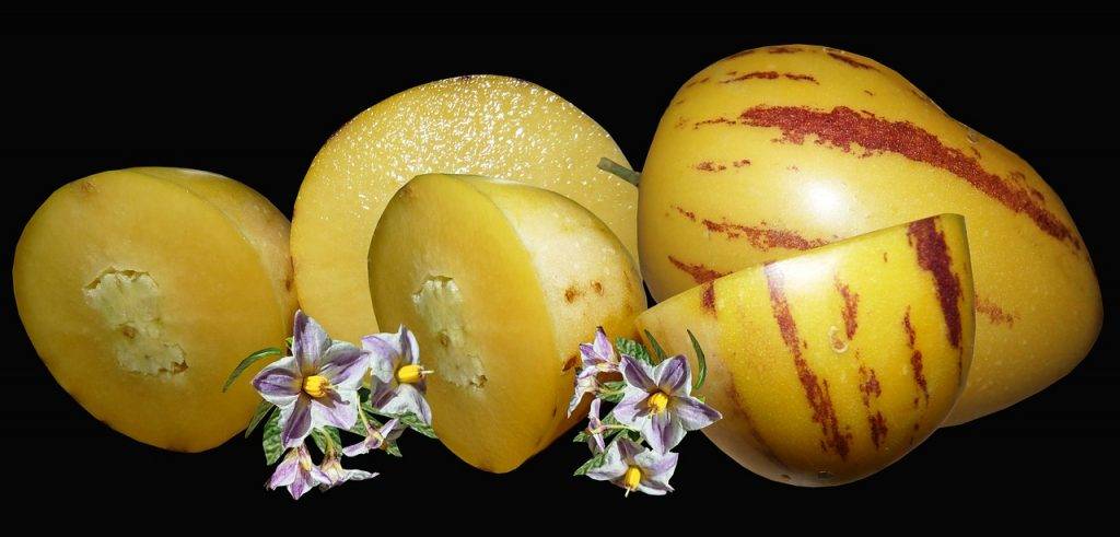 Pepino Melon Citrus Salad | Yandina Community Gardens